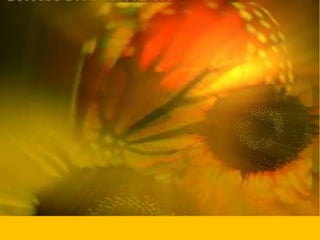 Muslimah istimewa Jazm | PPTX