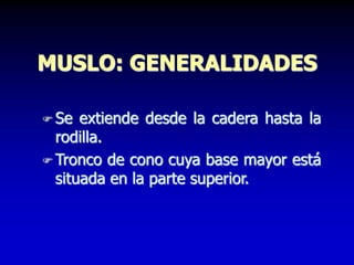 MUSLO Y RODILLA ppt 2024 anatomia ciclo III | PPT