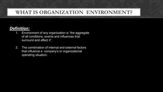 Analysis of organization and its environment | PDF