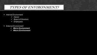 Analysis of organization and its environment | PDF