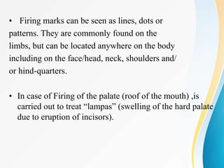 FIRING AND COUNTER IRRITANTS USED IN VETERINARY | PPT