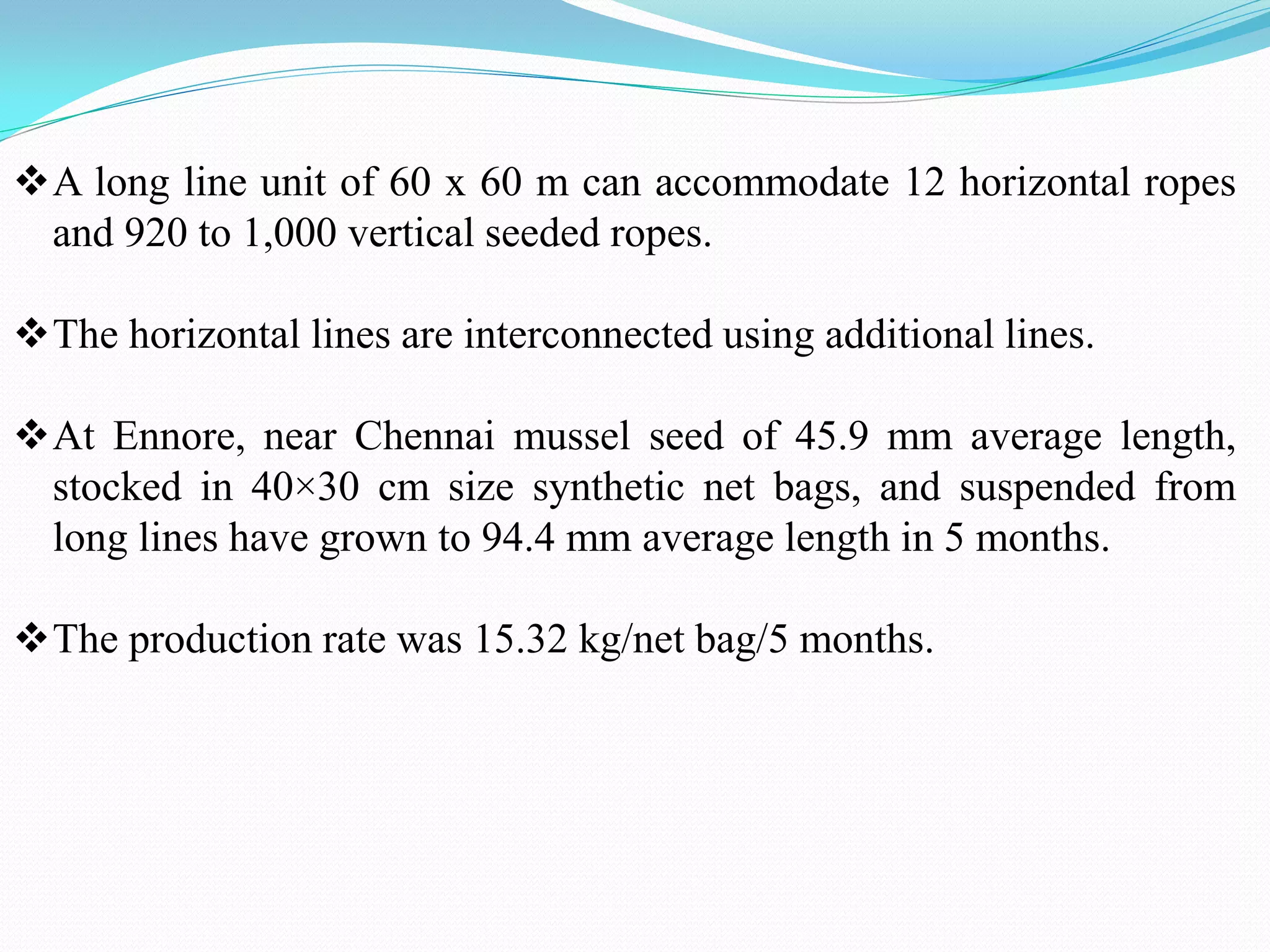 Mussels Farming in India | PDF