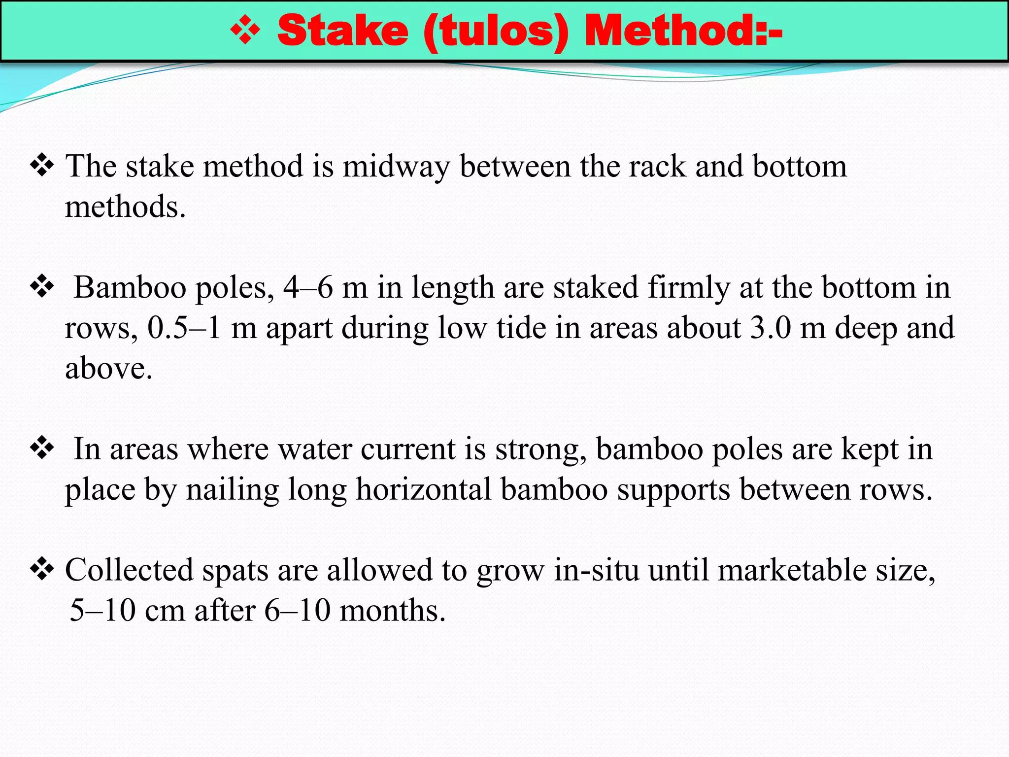 Mussels Farming in India | PDF