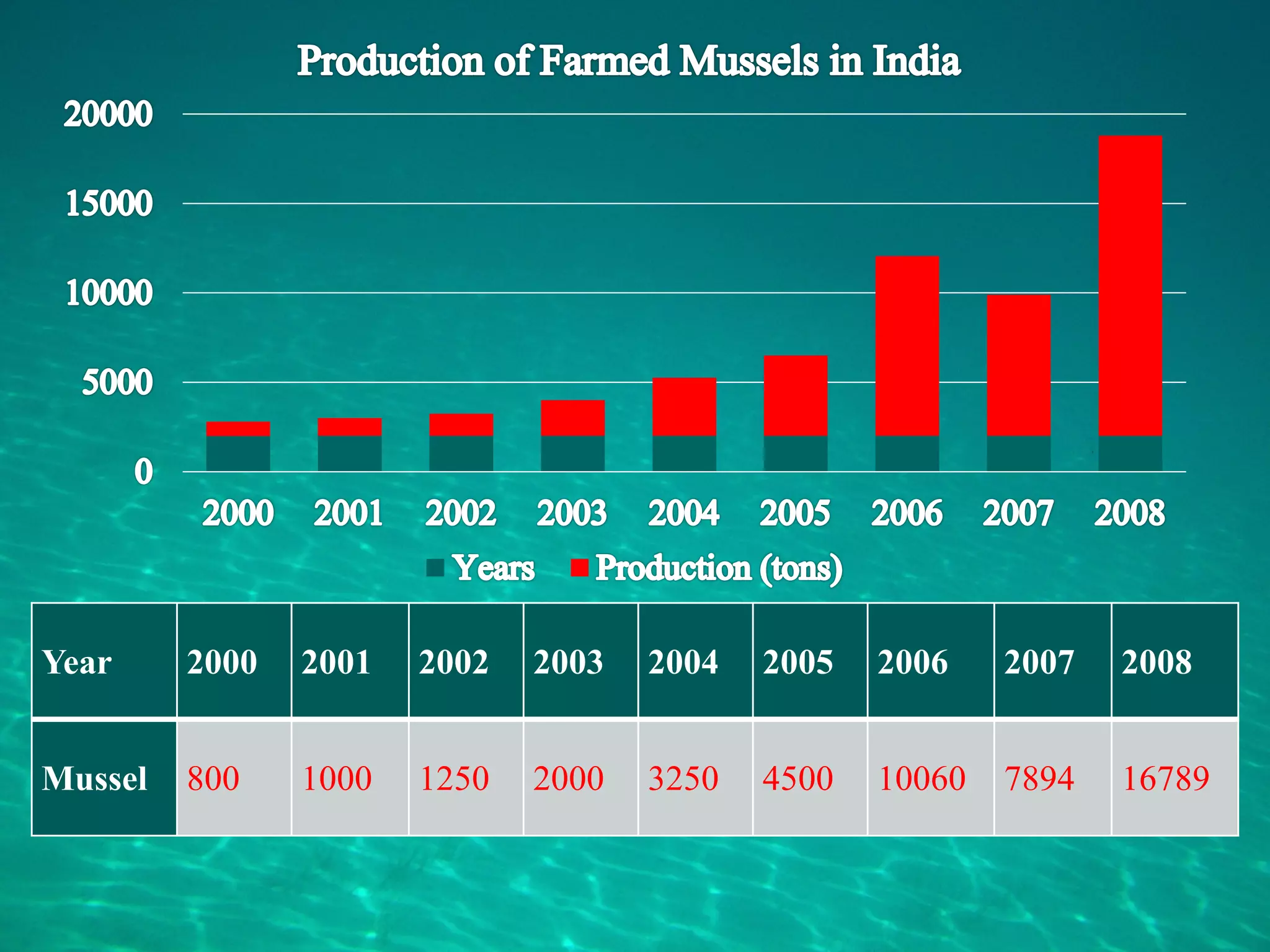 Mussels Farming in India | PDF