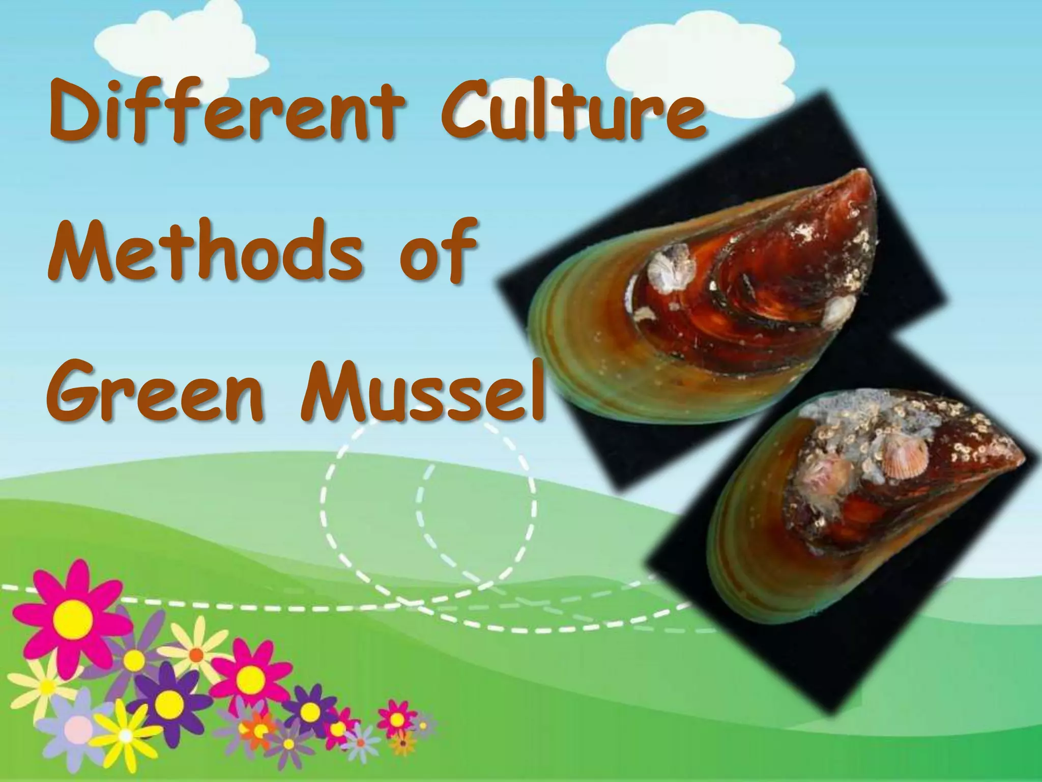 Mussel grow out culture | PPTX