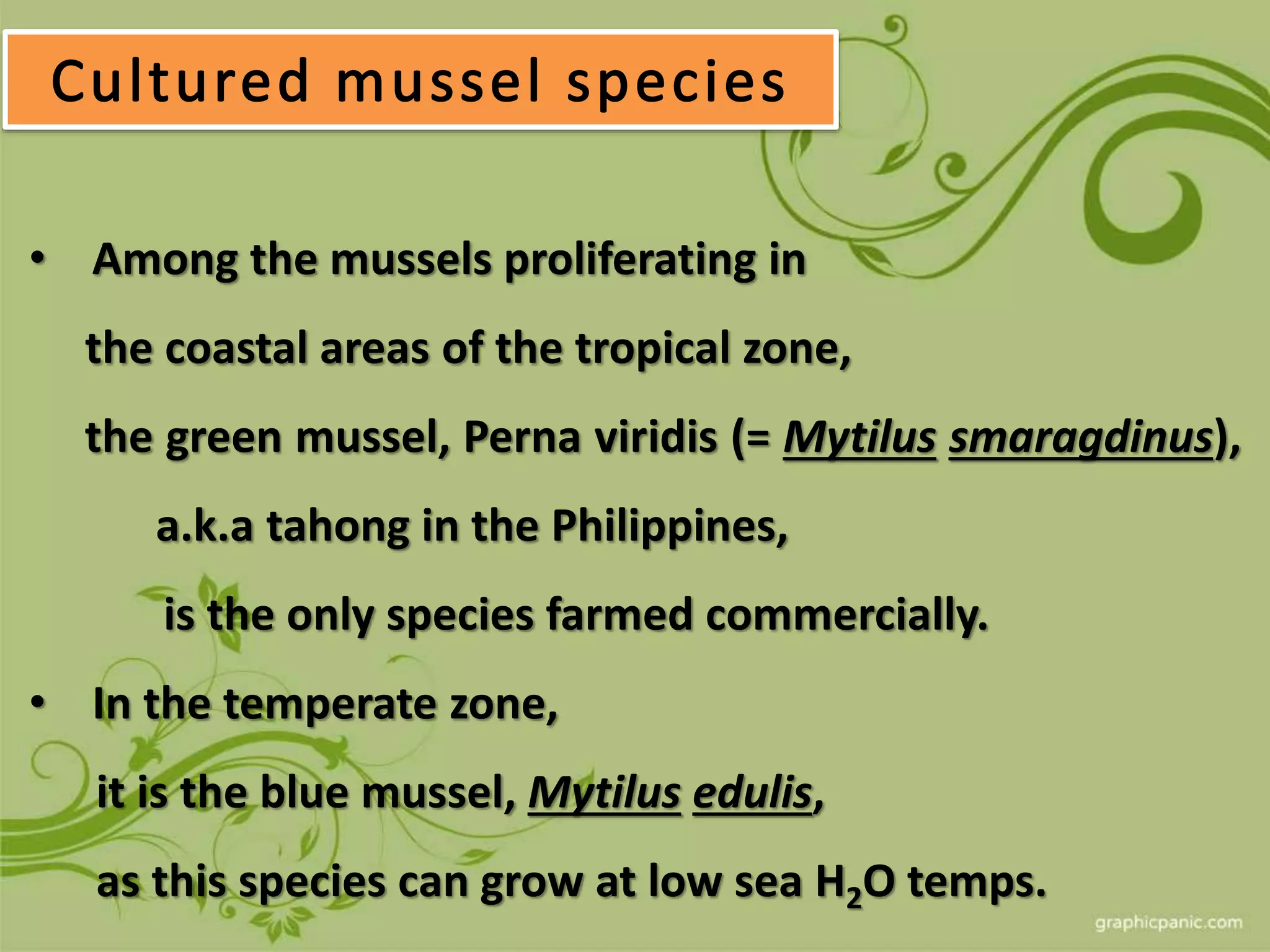 Mussel grow out culture | PPTX
