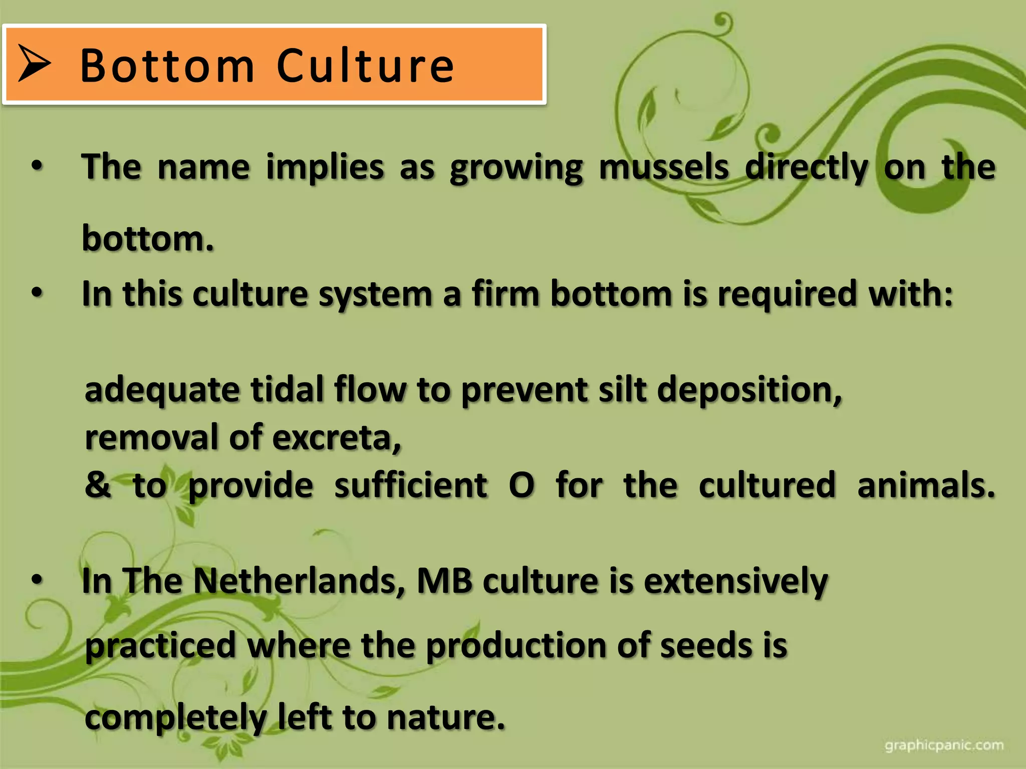 Mussel grow out culture | PPTX