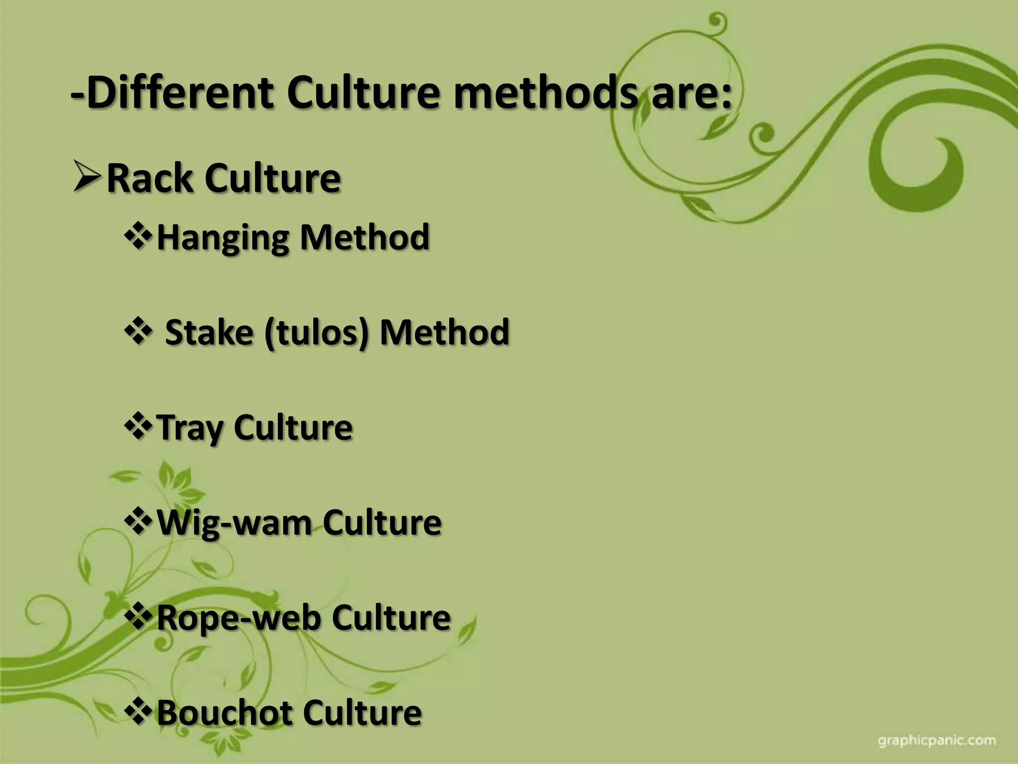 Mussel grow out culture | PPTX
