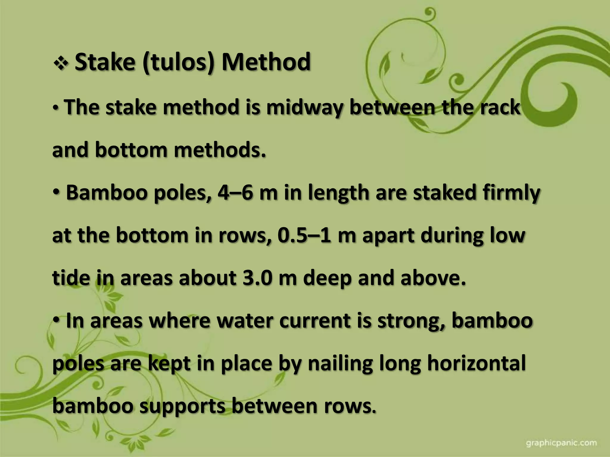 Mussel grow out culture | PPTX