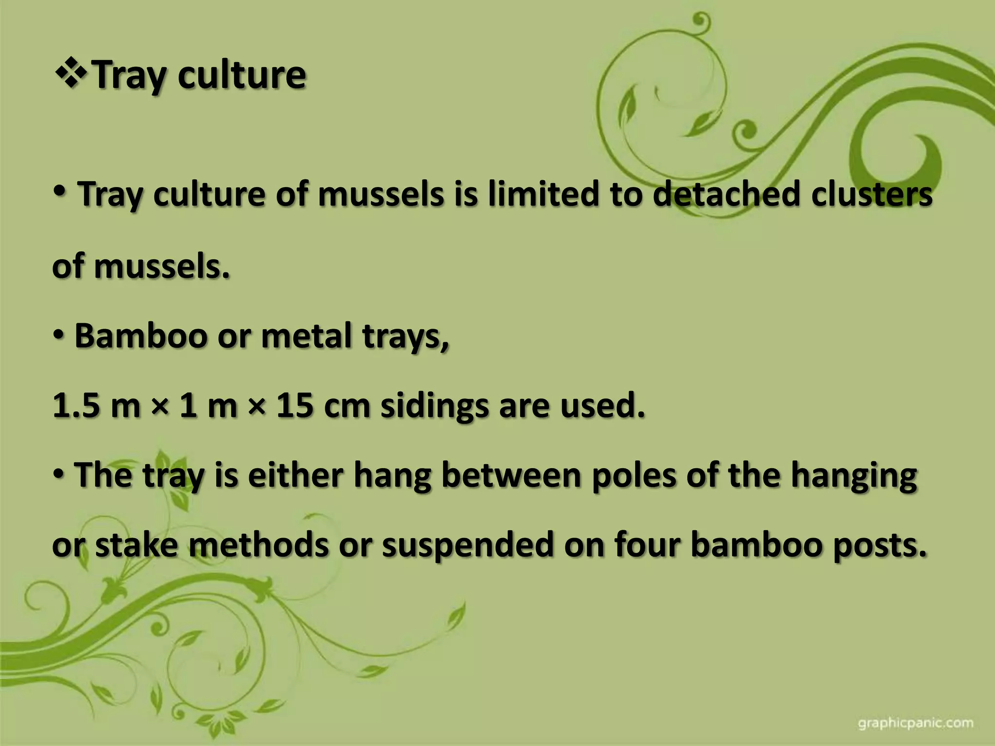 Mussel grow out culture | PPTX