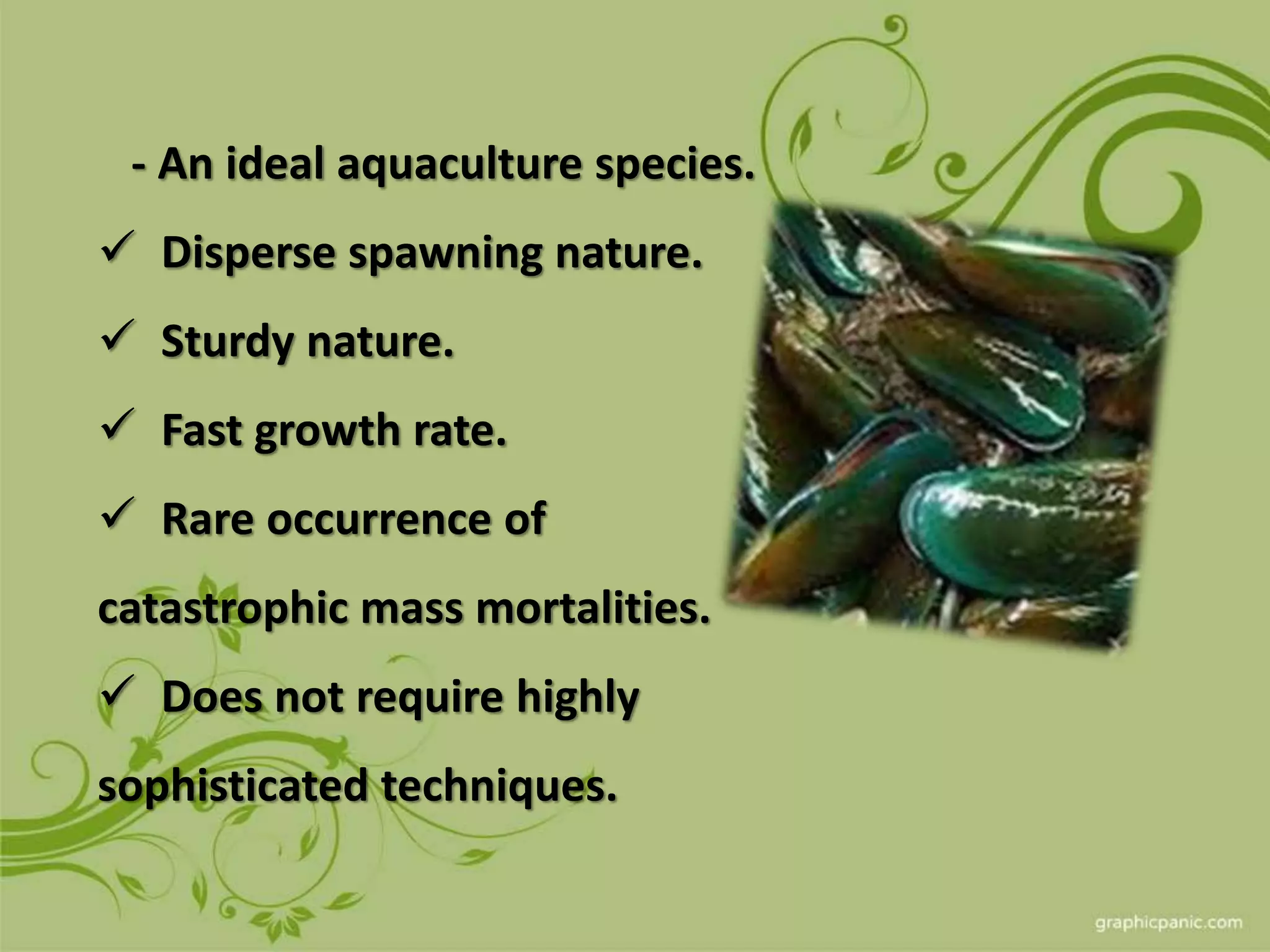 Mussel grow out culture | PPTX