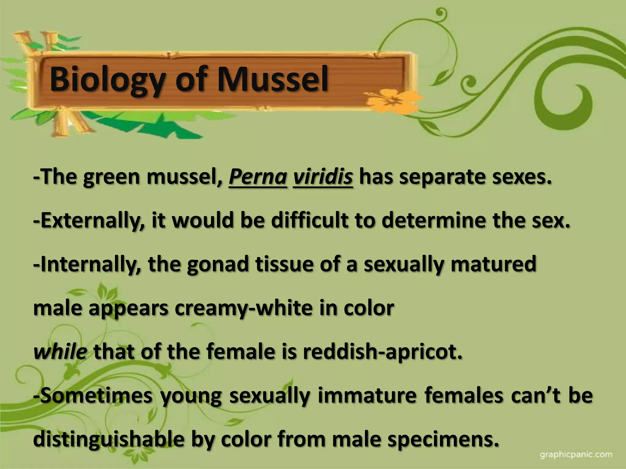 Mussel grow out culture | PPTX