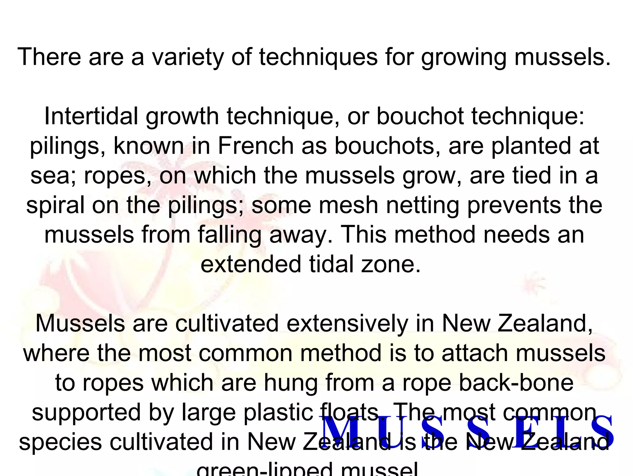 Mussels | PPT