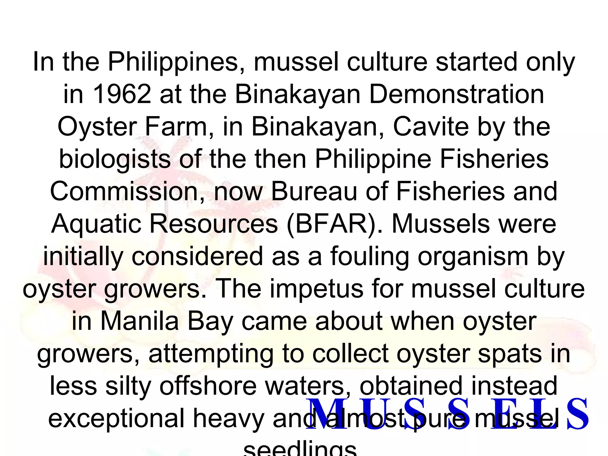 Mussels | PPT