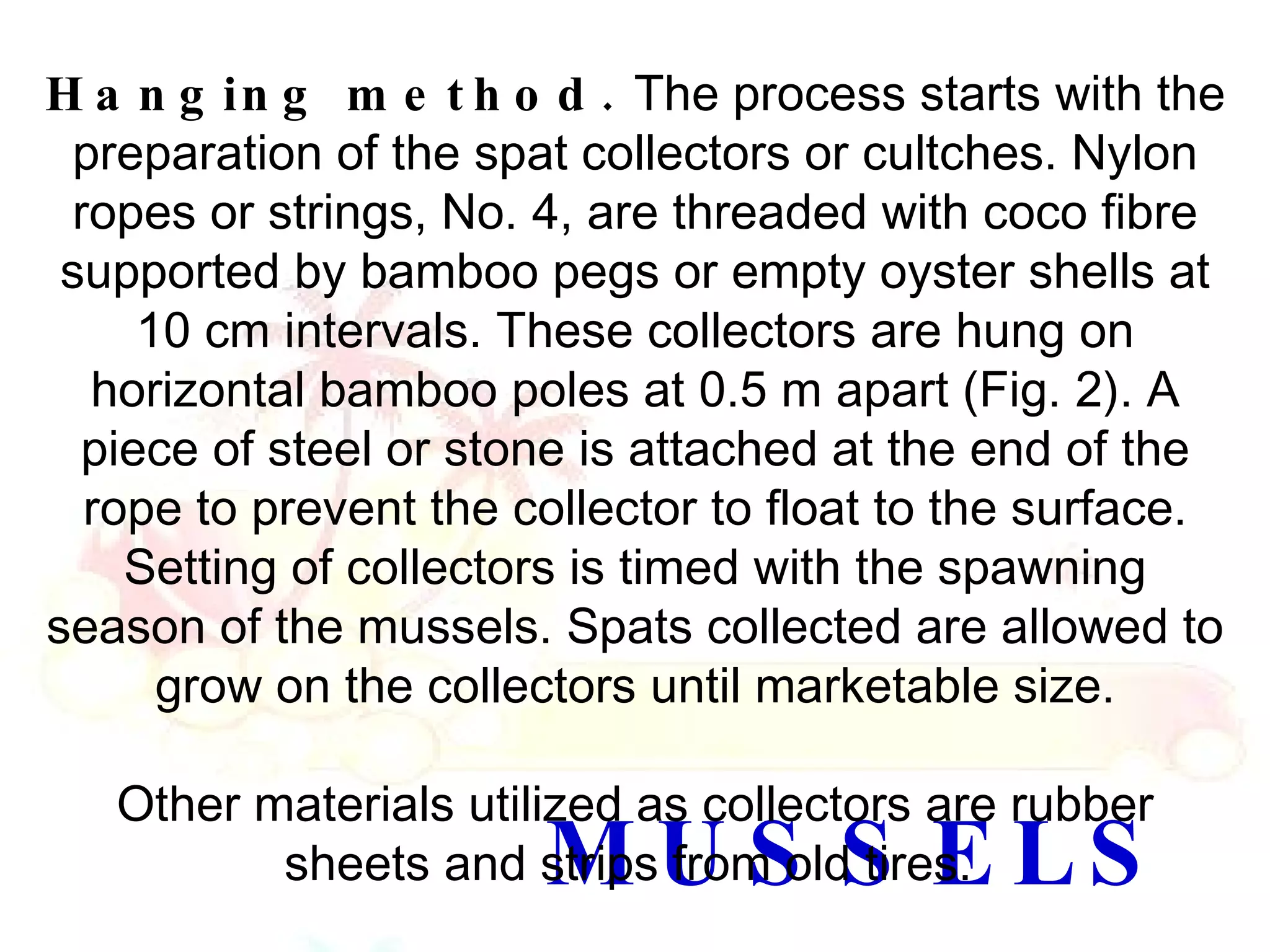 Mussels | PPT