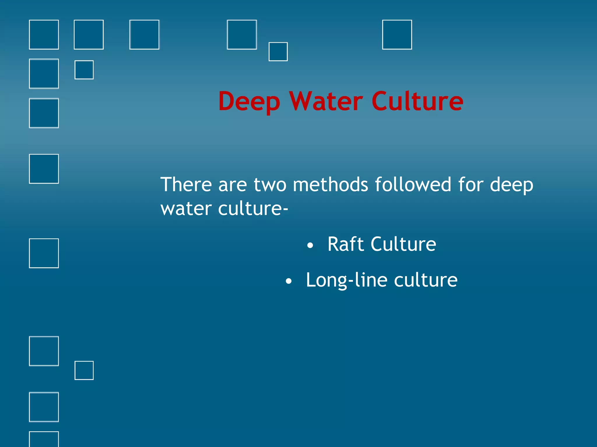 Culture Methods of Mussels | PPTX