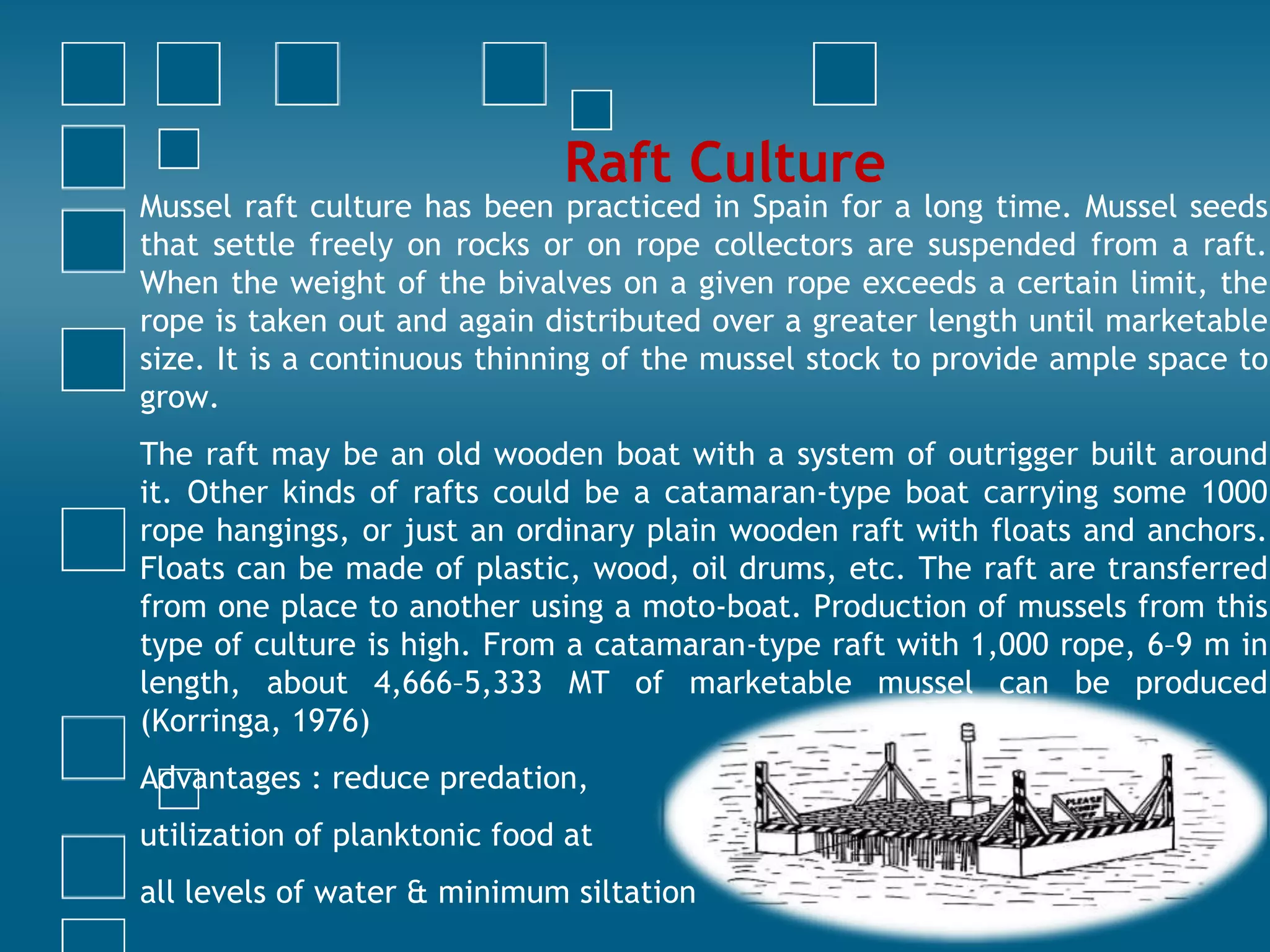 Culture Methods of Mussels | PPTX