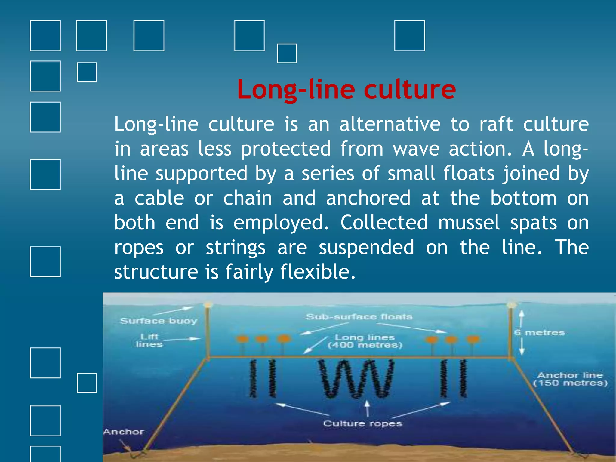 Culture Methods of Mussels | PPTX