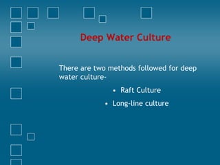 Culture Methods of Mussels | PPTX