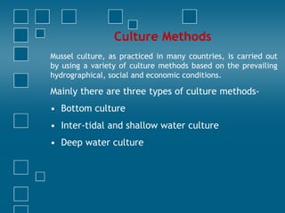 Culture Methods of Mussels | PPTX