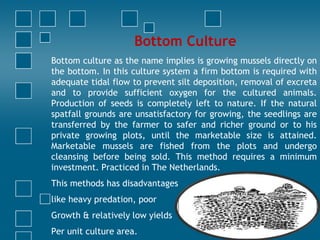 Culture Methods of Mussels | PPTX