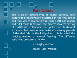Culture Methods of Mussels | PPTX