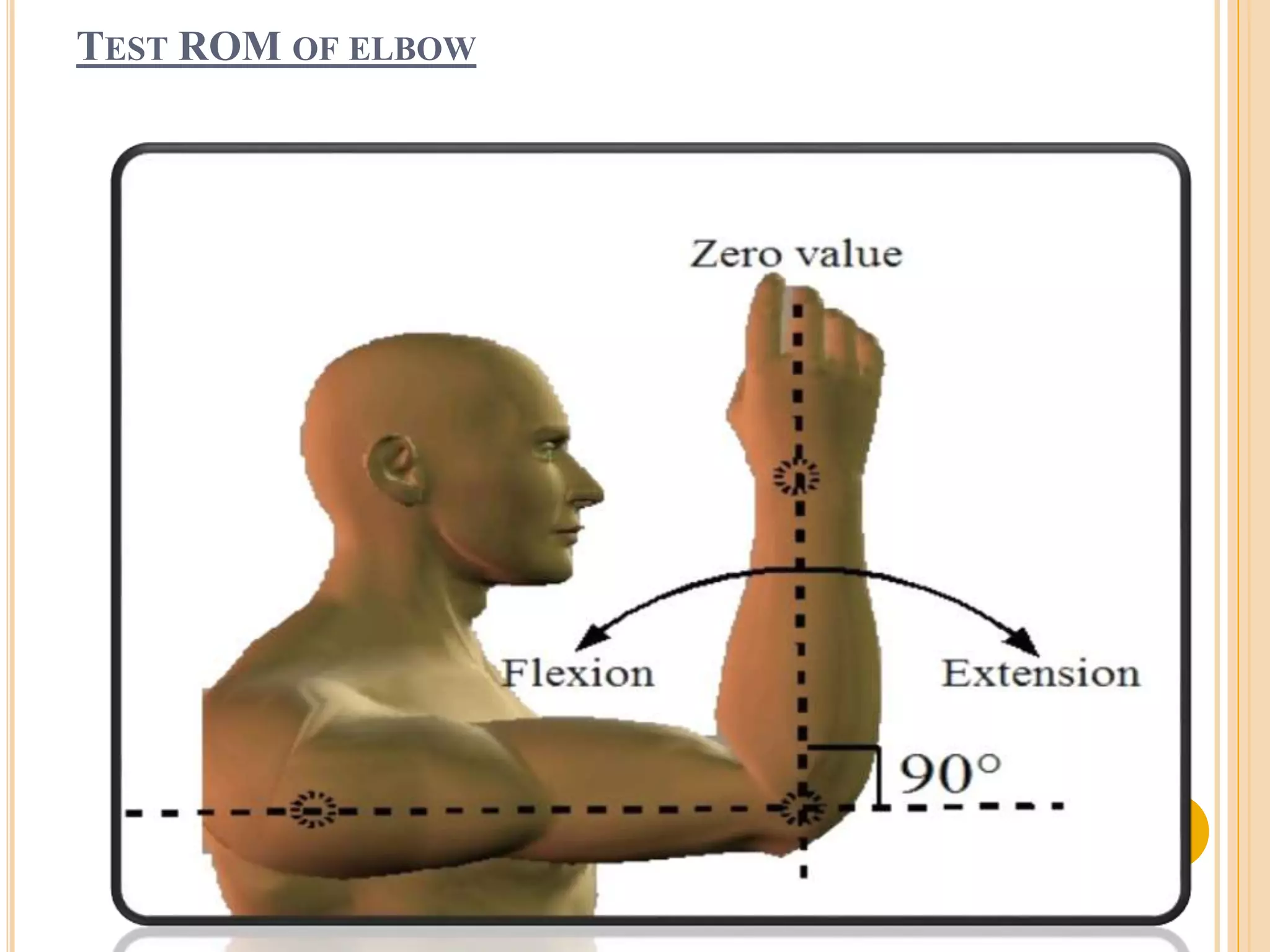 Physical Assessment of Musculoskeletal System | PPTX