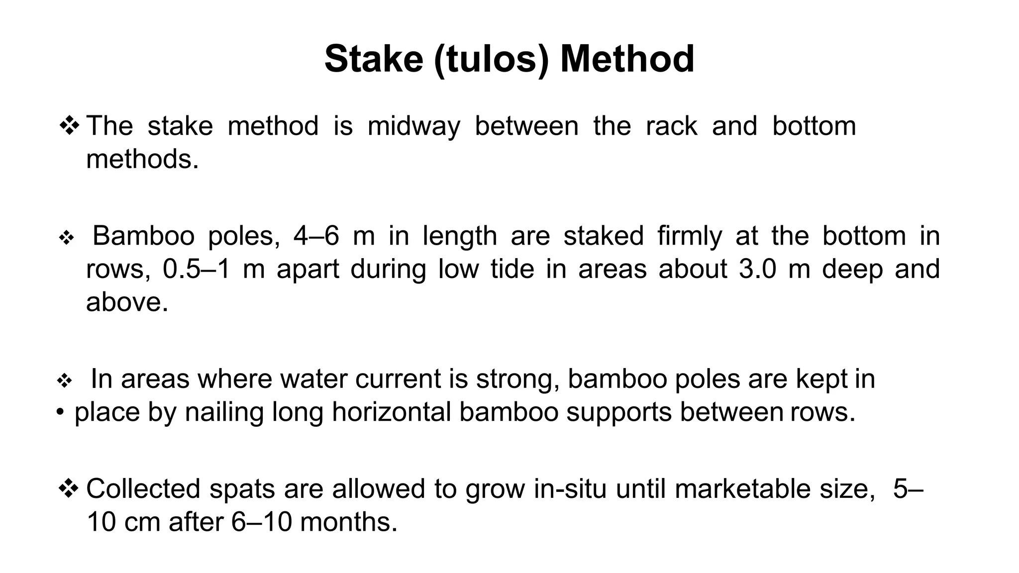 Mussles culture.pptx