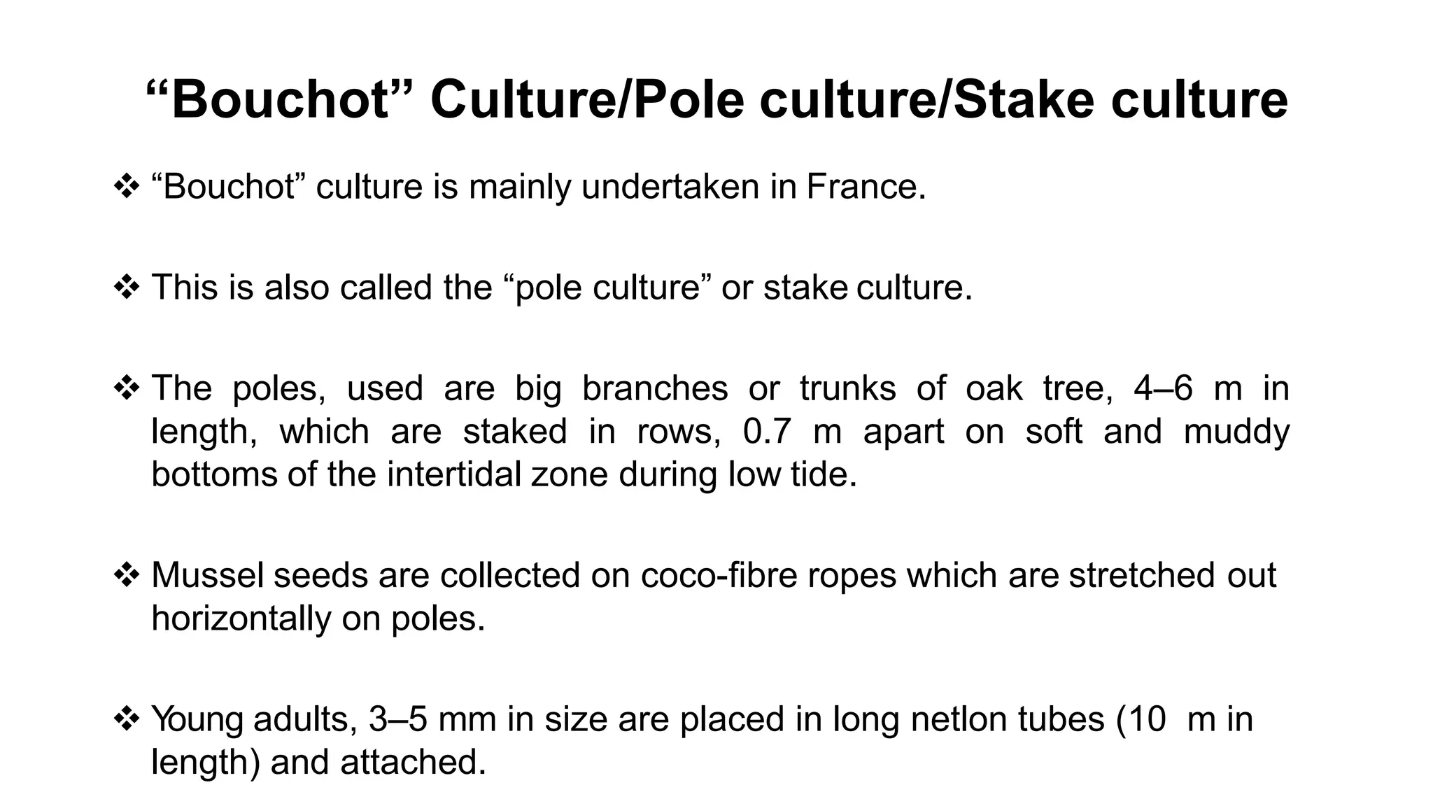 Mussles culture.pptx