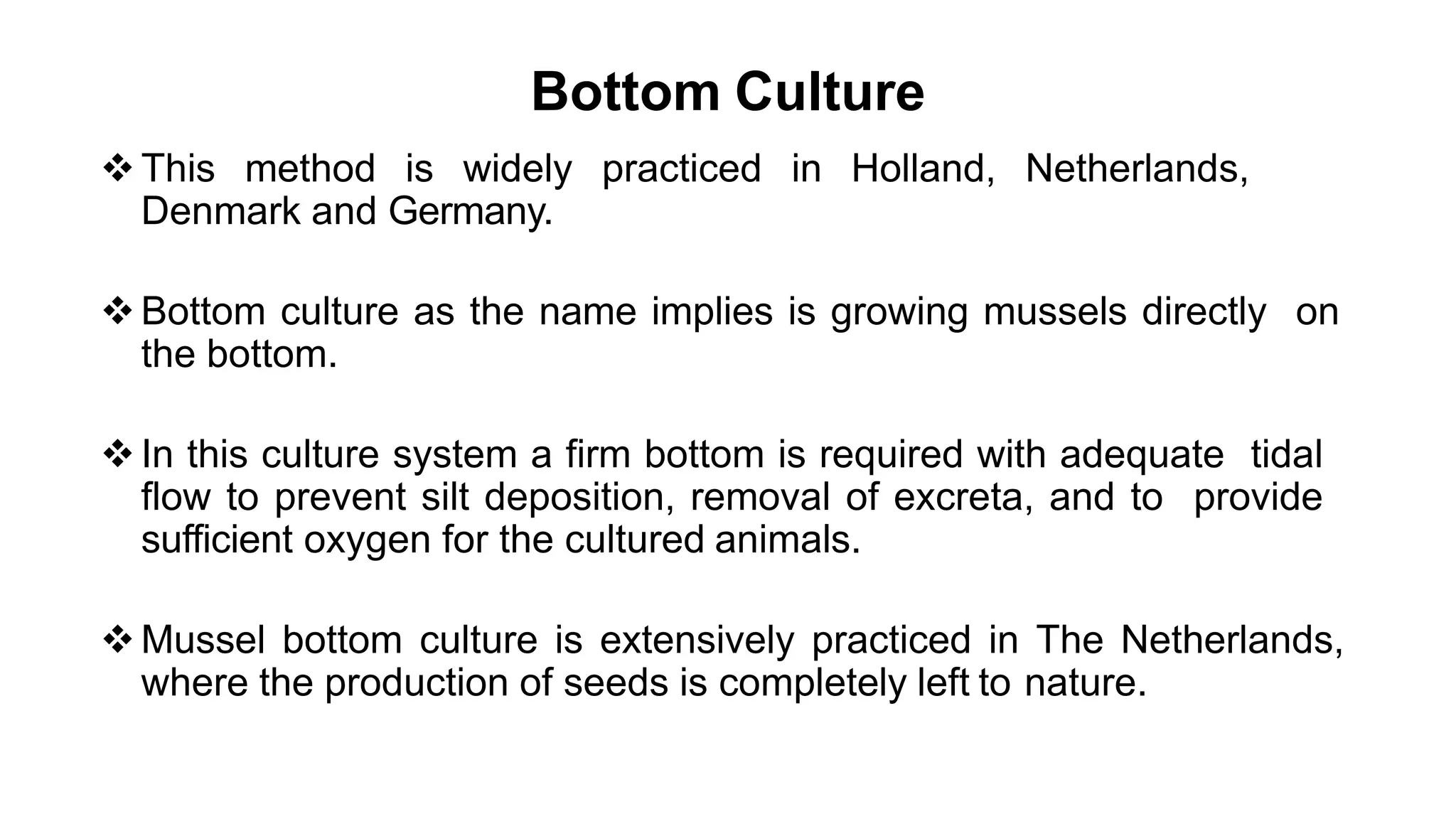 Mussles culture.pptx
