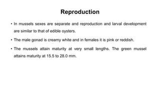 Mussles culture.pptx | Zoos & Aquariums | Attractions