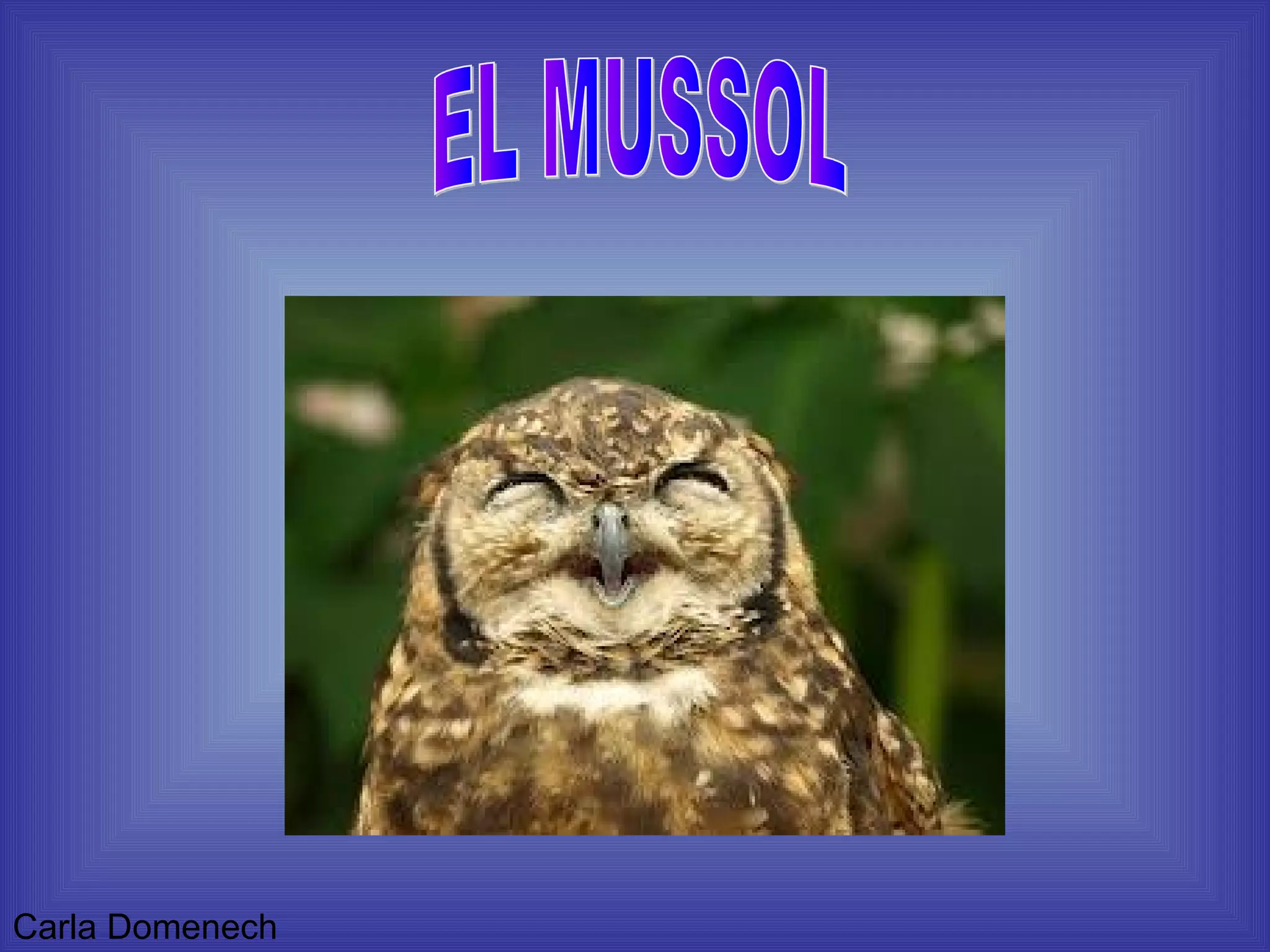 Mussols | PPT