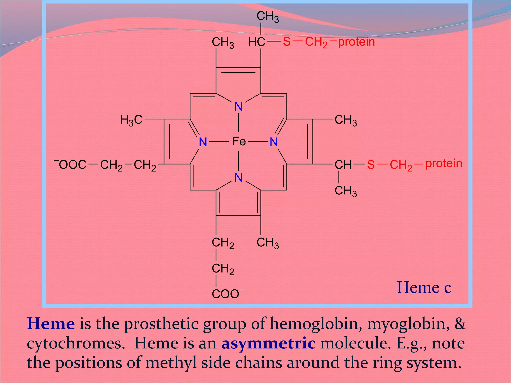 HEME METABOLISM MUHAMMAD MUSTANSAR | PPT