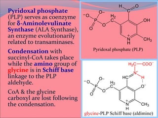 HEME METABOLISM MUHAMMAD MUSTANSAR | PPT