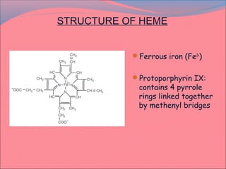 HEME METABOLISM MUHAMMAD MUSTANSAR | PPT