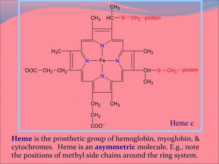 HEME METABOLISM MUHAMMAD MUSTANSAR | PPT