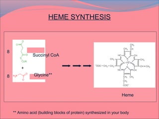 HEME METABOLISM MUHAMMAD MUSTANSAR | PPT