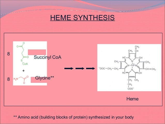 HEME METABOLISM MUHAMMAD MUSTANSAR