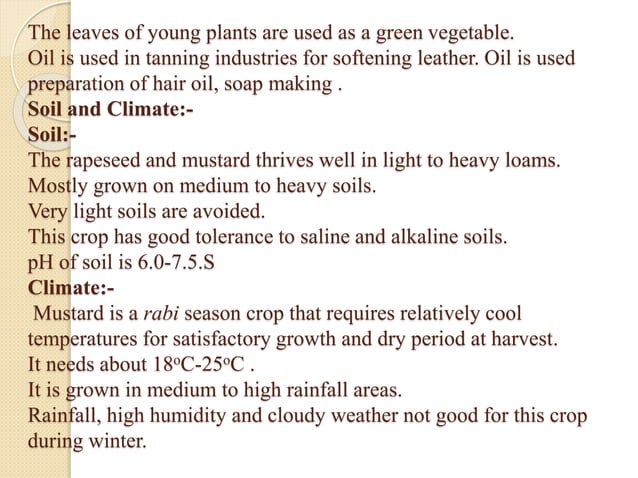 Mustard.pptx Details of mustard cultivation practice | PPTX ...