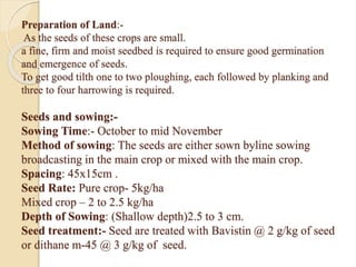 Mustard.pptx Details of mustard cultivation practice | PPTX