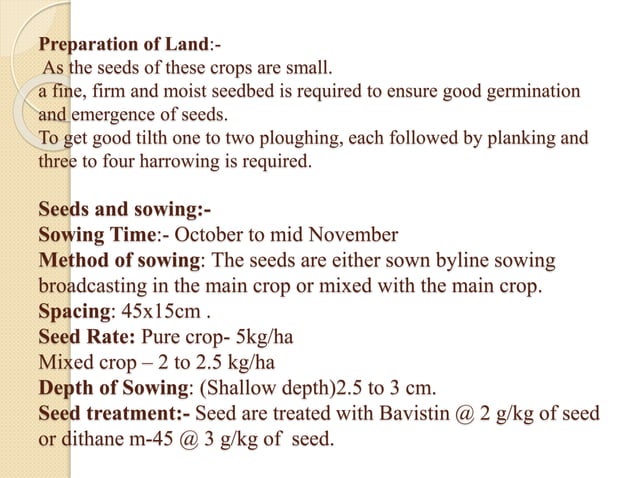 Mustard.pptx Details of mustard cultivation practice | PPTX ...