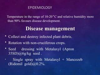 Mustard.disease pest management and their control measure | PPTX