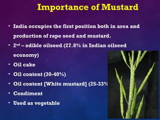Mustard.disease pest management and their control measure | PPTX