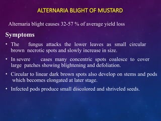 Mustard.disease pest management and their control measure | PPTX