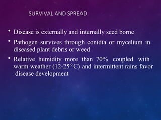 Mustard.disease pest management and their control measure | PPTX