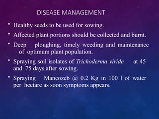 Mustard.disease pest management and their control measure | PPTX