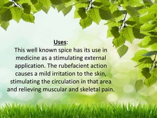 The medicinal plant-Mustard | PPT