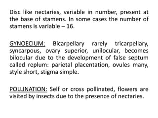 Agronomic Principles OF MUSTARD | PPTX