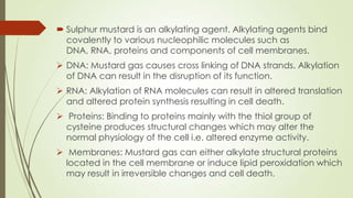 Mustard gas poisoning .By- Dr mohammadullah totakhil | PPTX