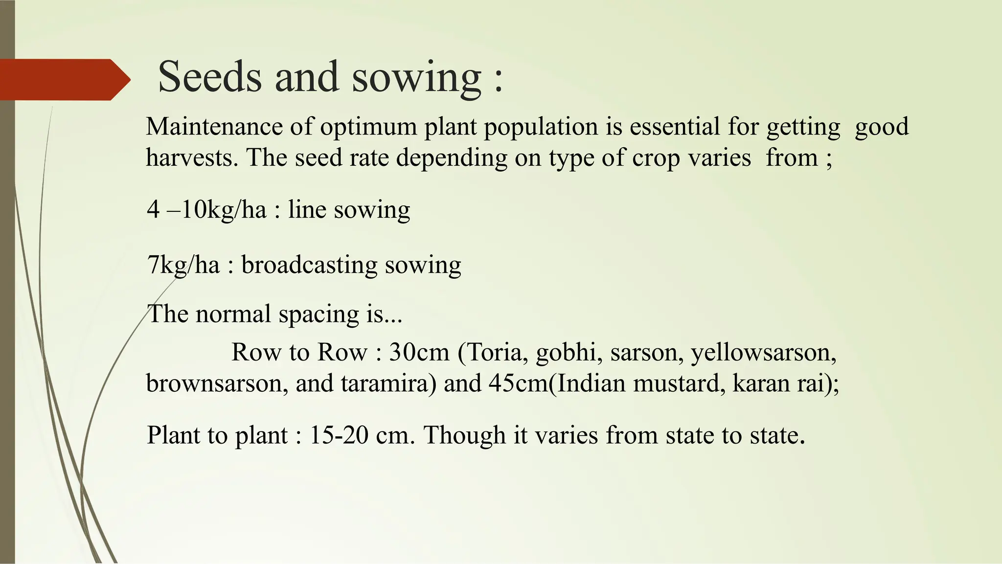 seed production thechnology in mustard.pptx